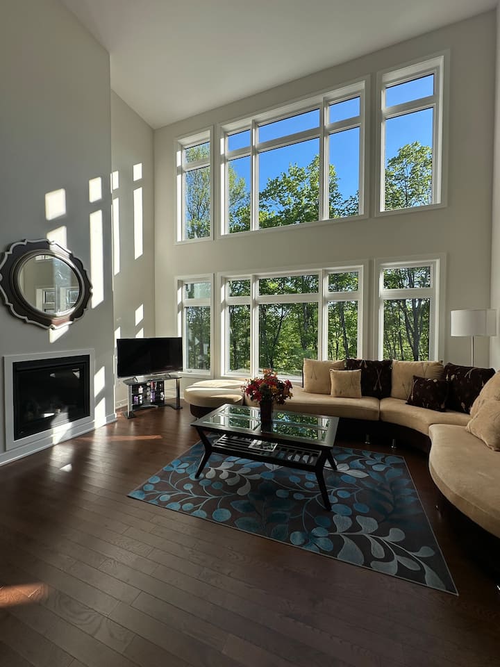 3000sf Modern Cottage Algonquin Muskoka - Algonquin Provincial Park