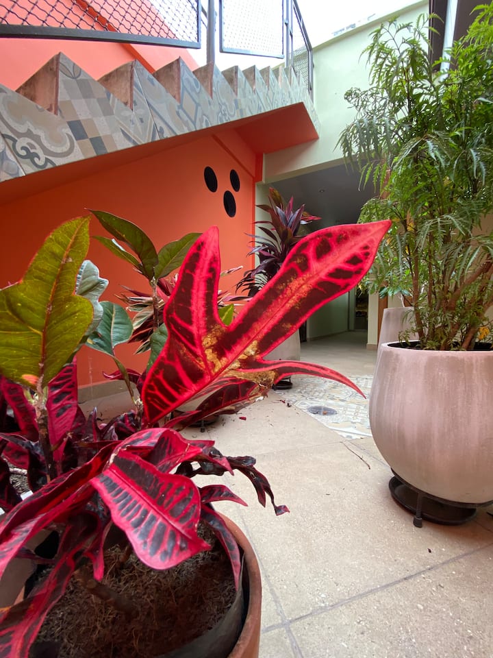Apartamento Central Y Acogedor - Florida
