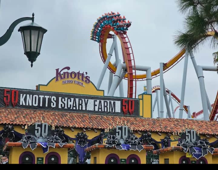 Luxury Oasis | Spa+cleanwater-near Disney - Buena Park, CA