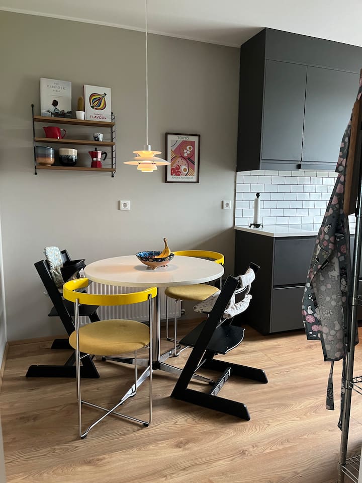 Cosy Apartment A With A View - Reykjavík