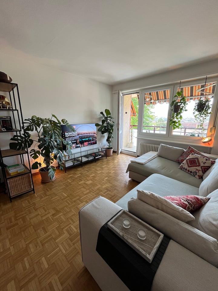 Zentrale, Stilvolle Wohnung Mit Blick üBer Zürich - Zürich