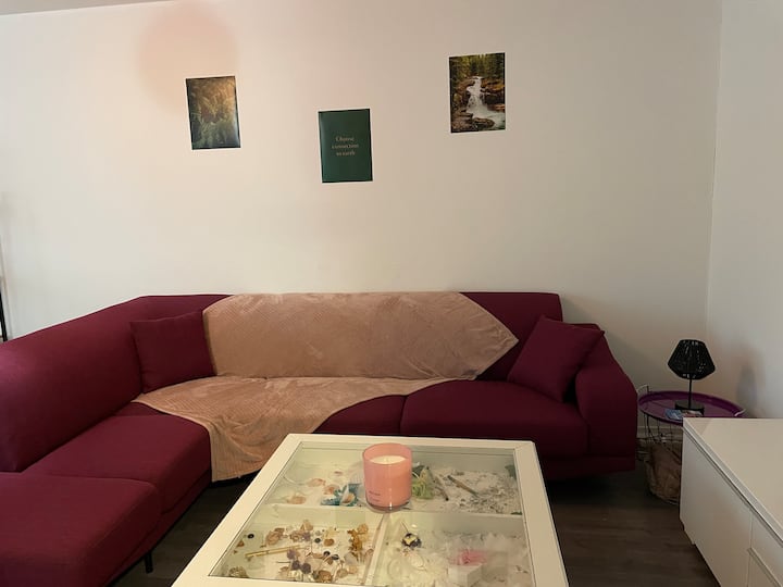 Plaisible Appartement Cocon - Villeneuve-d'Ascq