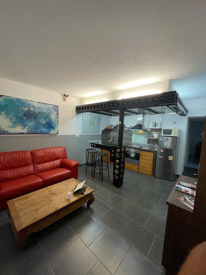 Appartement D’artiste - Mornas
