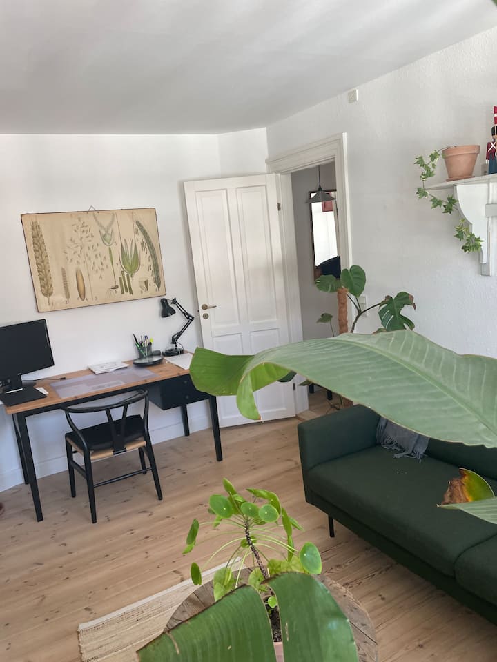 Lys Lækker Lejlighed - Copenhaguen