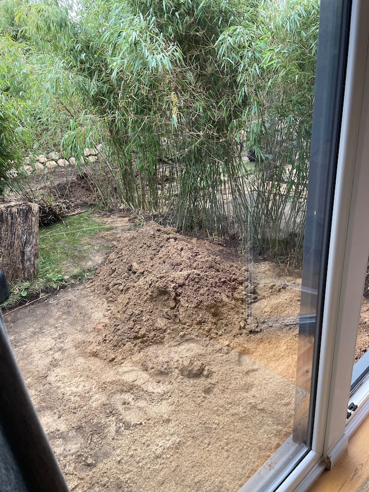 Springtime Near The Ocean - Heikendorf