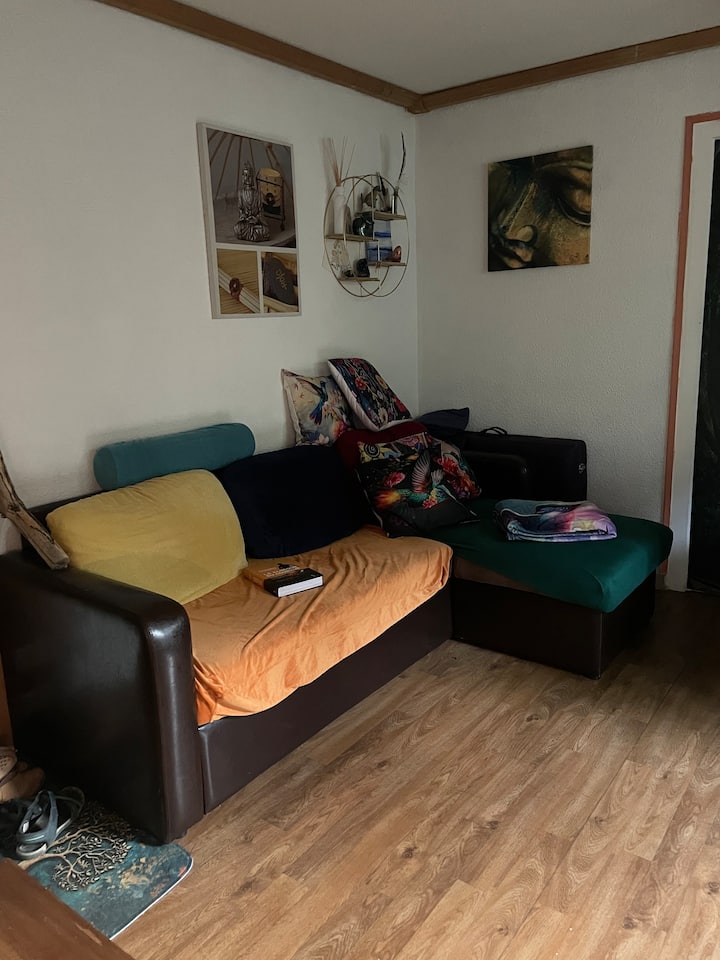 Chambre Privée 10 M2 Vue Massif Du Mt-blanc - Les Houches