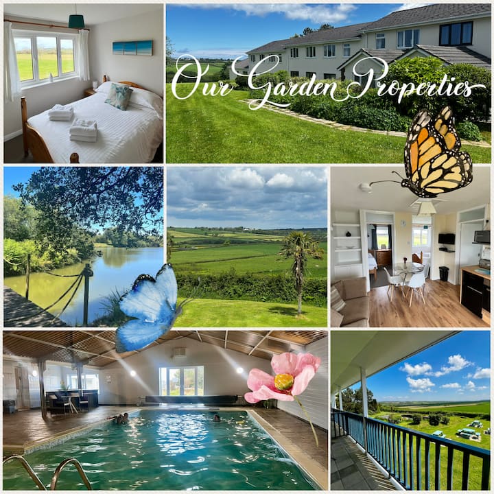 Holly Near Clovelly North Devon - Clovelly