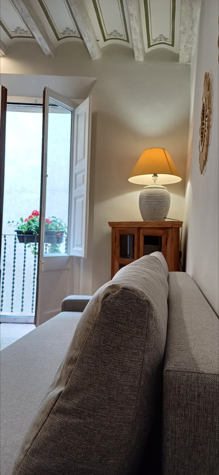 Feelhomevic. Apartamento En Centro Histórico - Vic