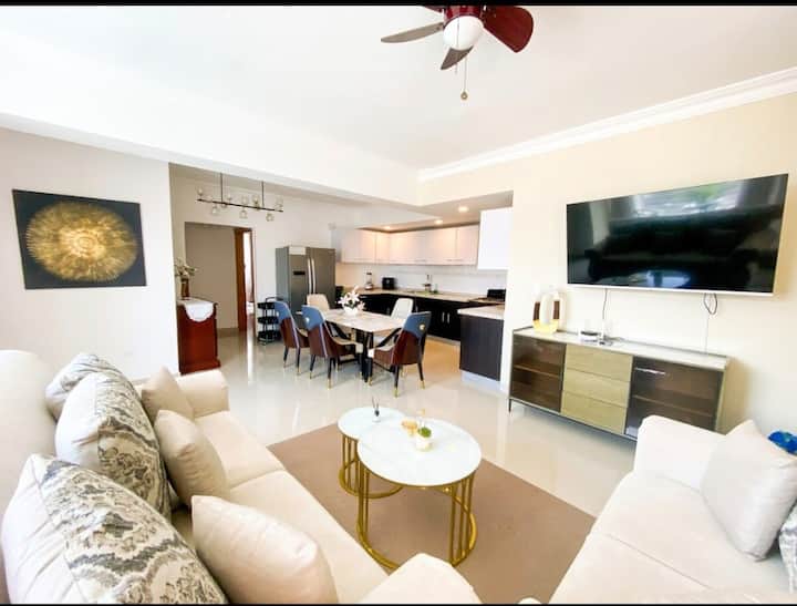 Ruim Appartement In Gazcue - Santo Domingo