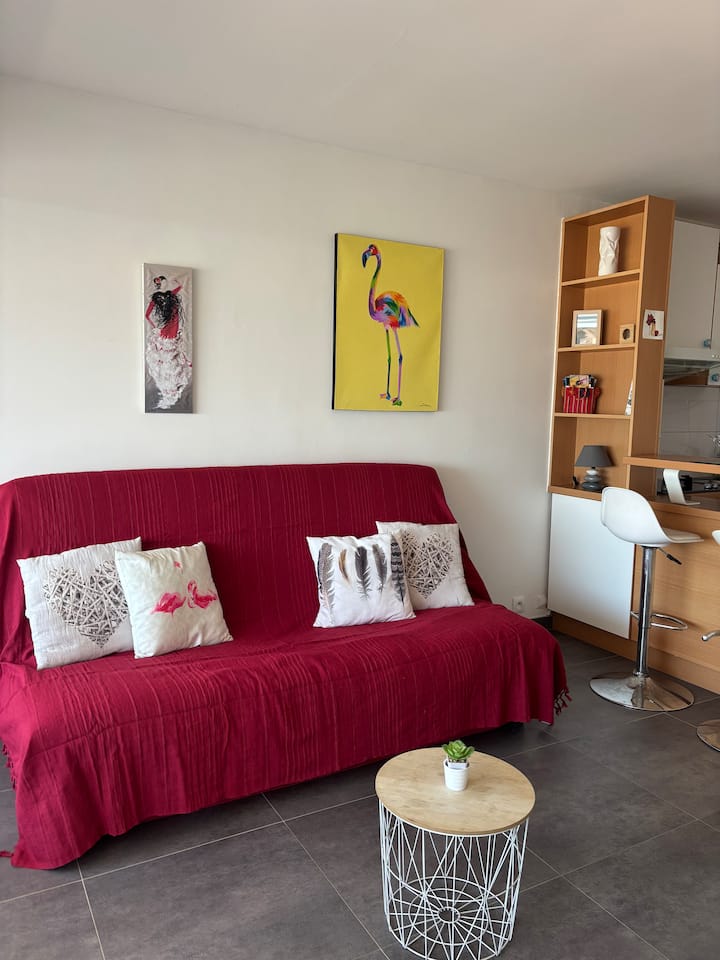 Appartement Climatisé Vue Mer Et Parking - Aigues-Mortes