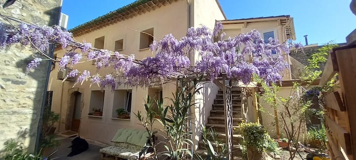 Studio Sous La Glycine - Saint-Guilhem-le-Désert
