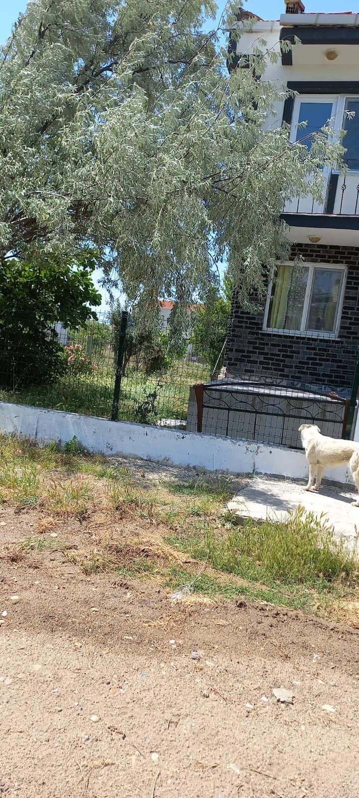 Enezde Tripleks Bahçeli Villa - Enez