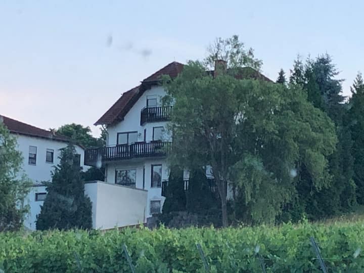 Villa Löwenstein - Potsdam