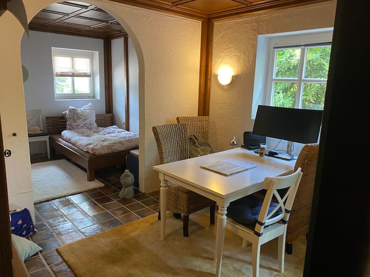 Zentrale Landhaus Wohnung Münsterl - Münster