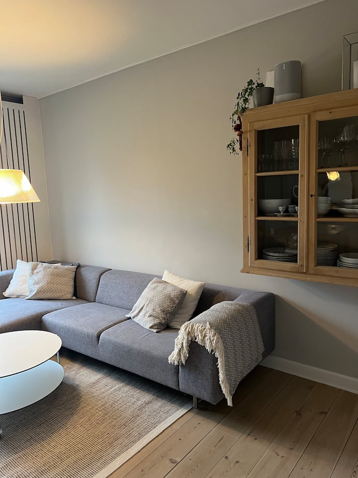 Skøn Lys Lejlighed Med Fælles Have - Odense