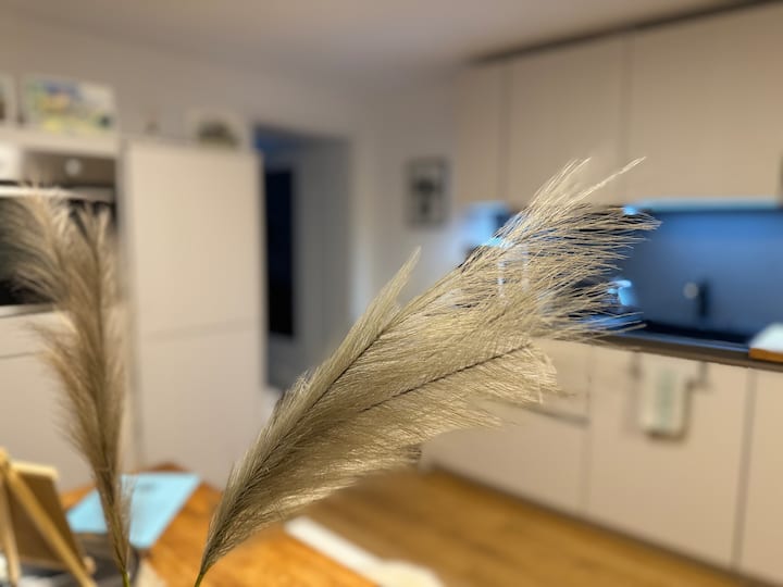 Ferien- Und Business Apartment - Langenzenn