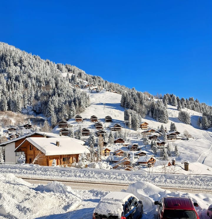 Ski - Morgins - Appartement Cosy 2ch. - Les Crosets