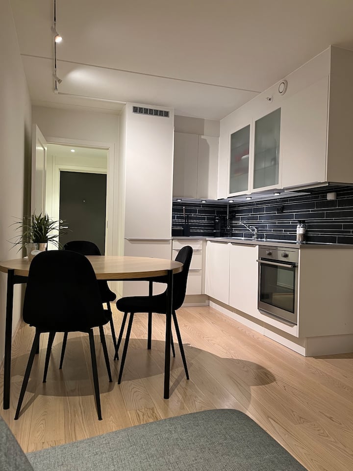 Modern 1 Bedroom Apartment - Tromsø