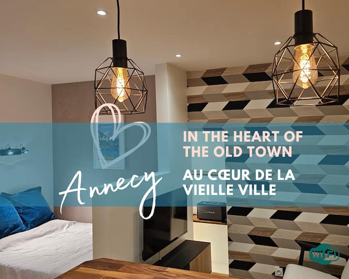 Studio Au Cœur Du Vieil Annecy - Cran-Gevrier