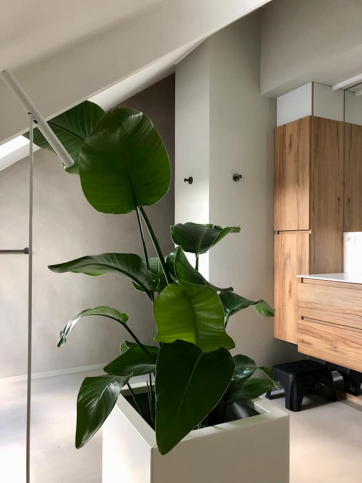 Appartement Met Gedeeld Zwembad - Hasselt