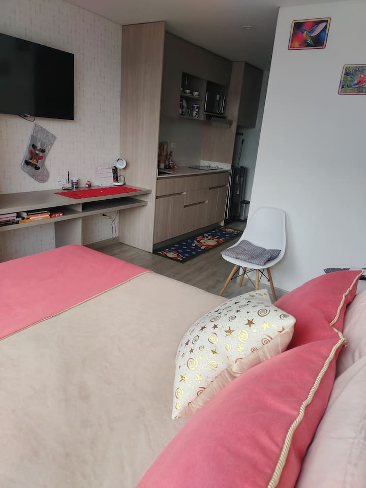 Near  Usa Embassy, ÁGora And Corferias! - Calima