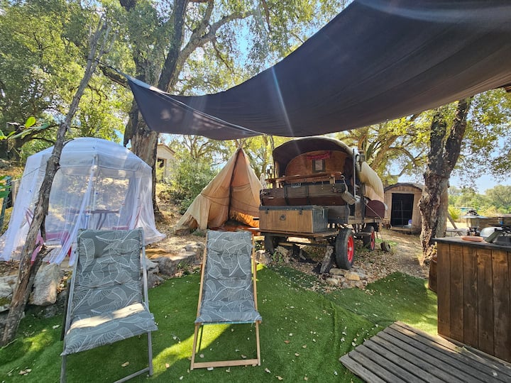 Insolite Chariot De Pionnier - Korsika