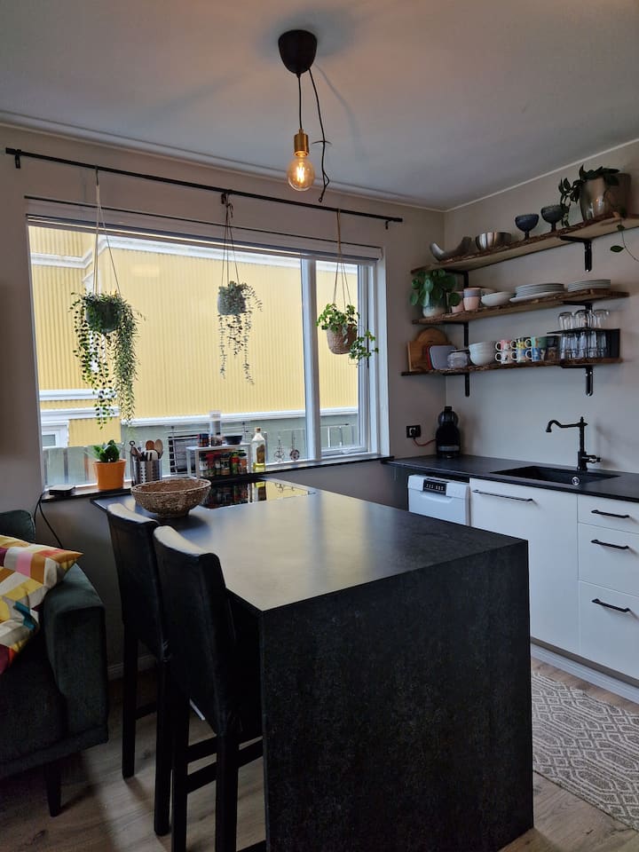 Flat Downtown With Parking - Reykjavík