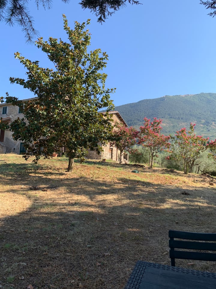 "Casale Ugo E Letizia"
Antico Casale In Pietra - Monte Livata