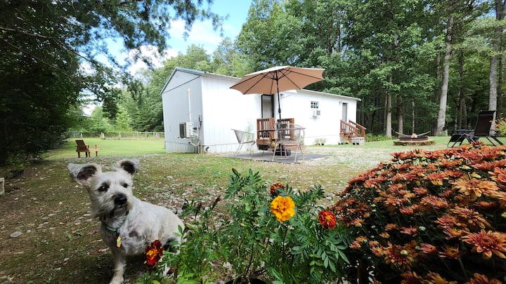Cottage Near Fall Creek Falls State Park - Fall Creek Falls, TN