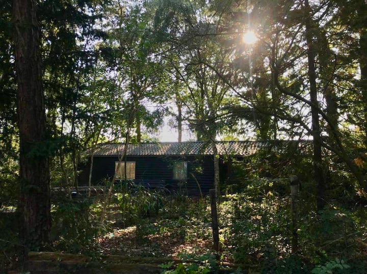 Bird Barn, Luxe En Artistiek - Nijkerk