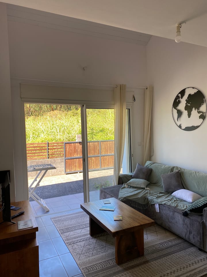 L’hortensia - Saint-Benoît