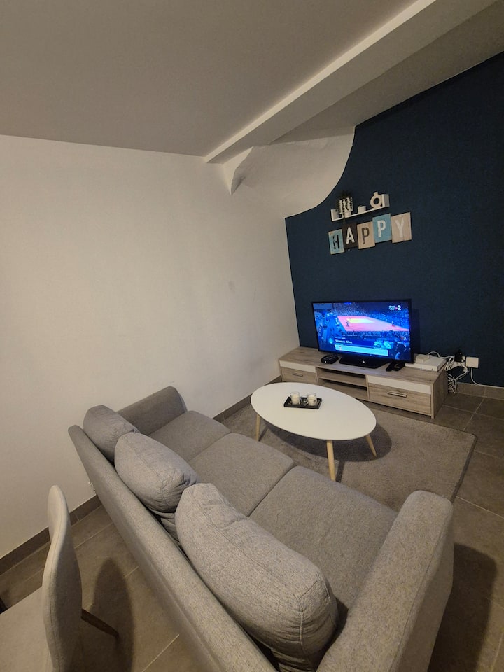 Charmante Maison De Ville - Narbonne