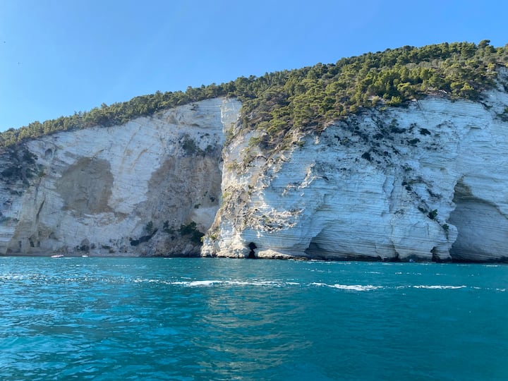 Al Fosso Apartment - Vieste