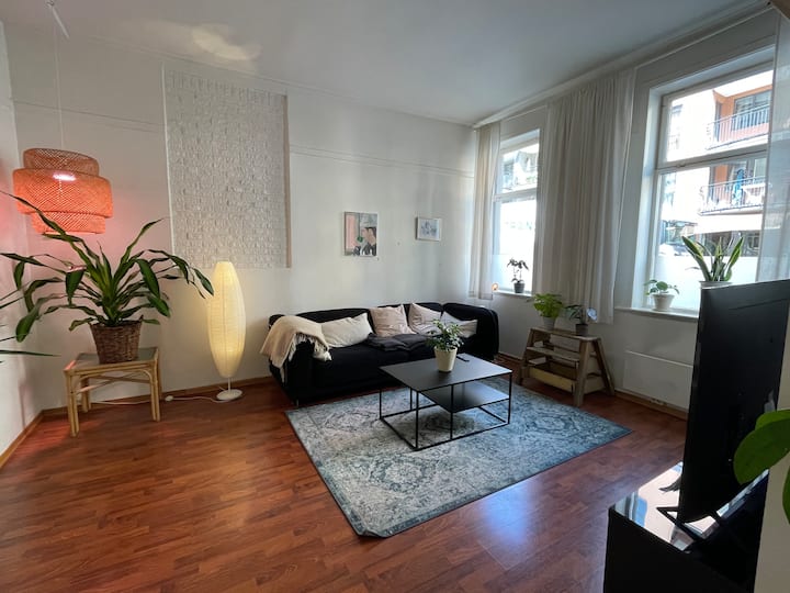 Sjarmerende Leilighet På Grünerløkka - Oslo