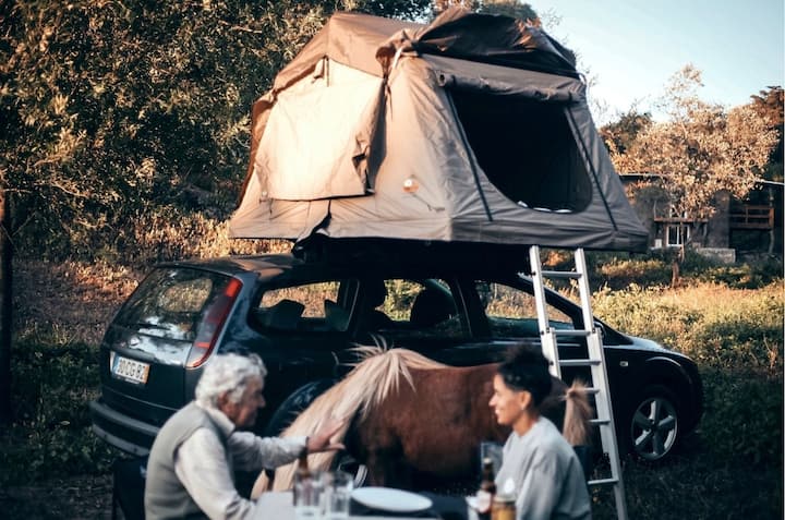 Letsgocamping_pt - Ford Focus - Loures