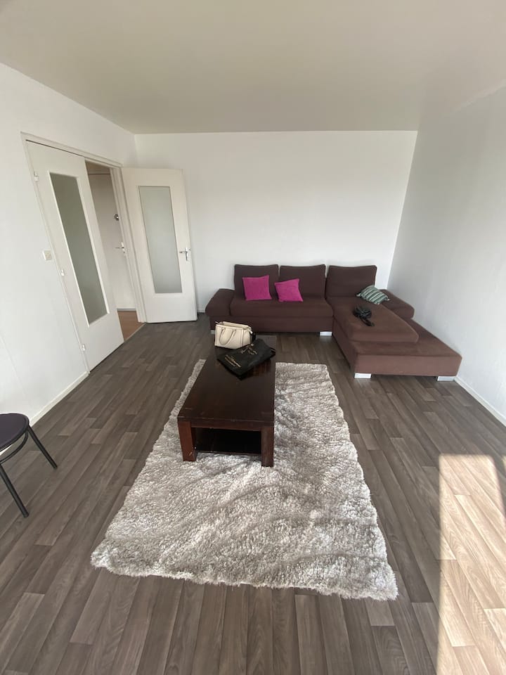 Lumineux 70m²près Centre Limoges - Limoges