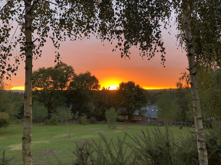 Camping In The South Downs Countryside - Petersfield