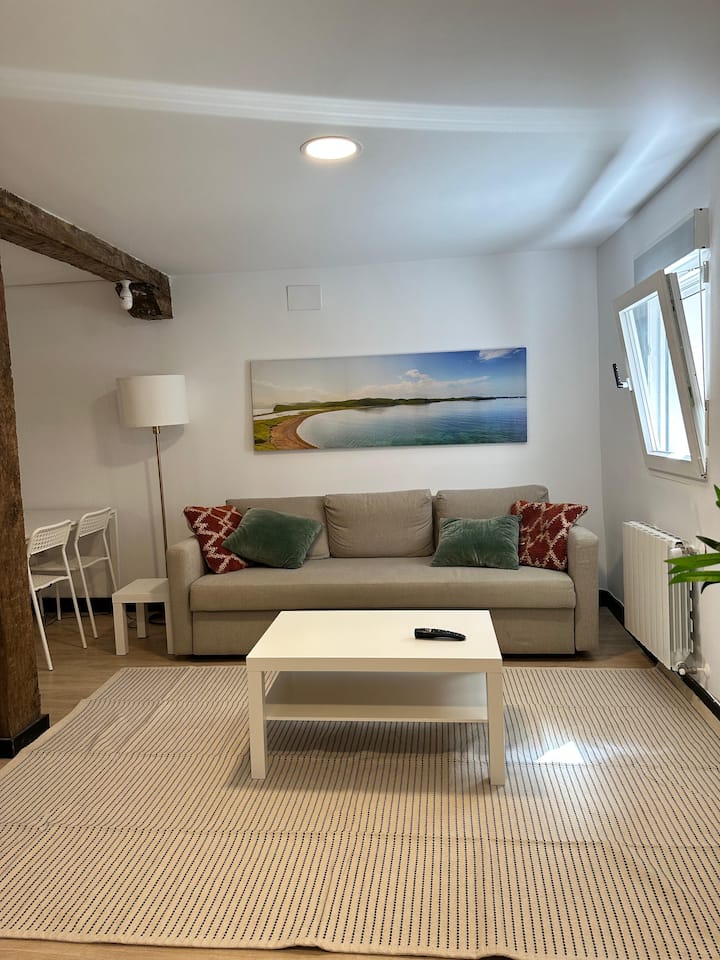 G1. Apartamento En Pleno Corazón De Santander - Santander, Spain