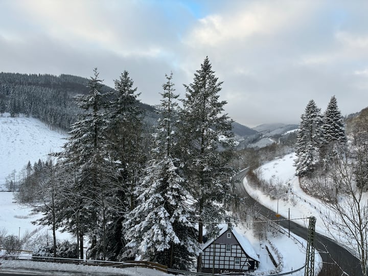 Wohnung Mit Weitblick + 50qm + üBerdachter Balkon - Altastenberg