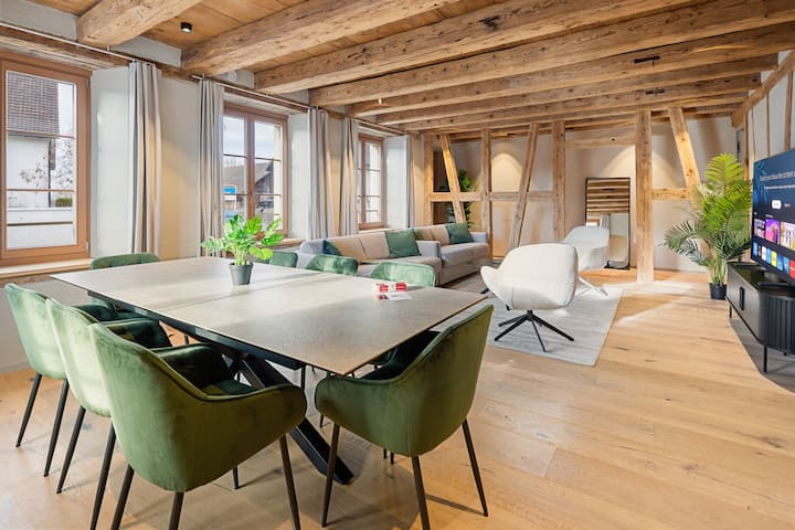 Visionary | Premium | 15'city | Park | Wash | Cook - Switzerland