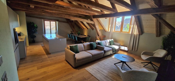 Premium | 26 Ppl | Park | Wash | Cook | 15' City - Switzerland