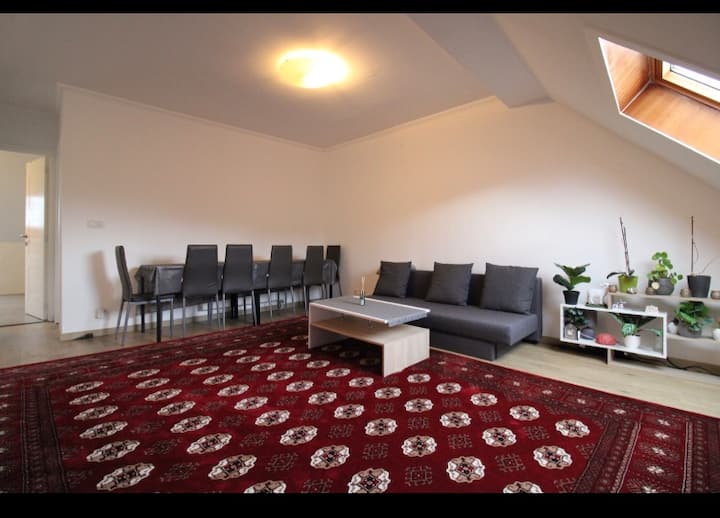 Spacious Cosy Flat Ghent - Ghent