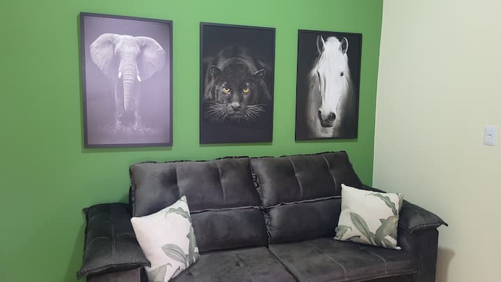 Linda Casa Reformada Muito Aconchegante. - Anápolis