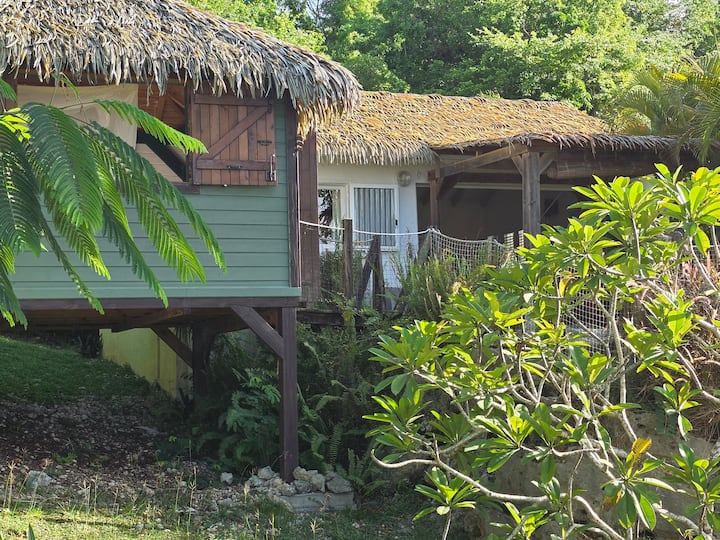 Bikok à Marie Galante - Marie-Galante