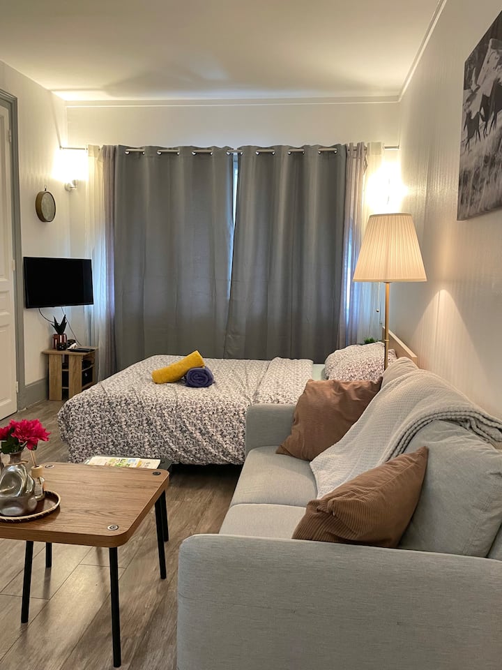 Le P’tit Studio Darcy - Dijon