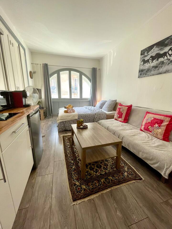 Le P’tit Studio Darcy - Dijon