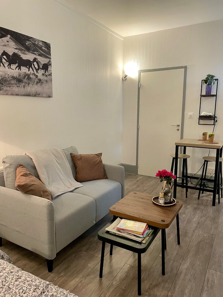 Le P’tit Studio Darcy - Dijon