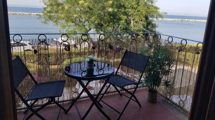 Petit Coin Au Bord De L'étang - Martigues