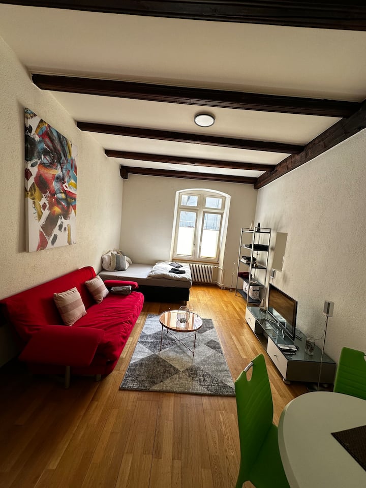 Central&comfy By The Cathedral - Freiburg