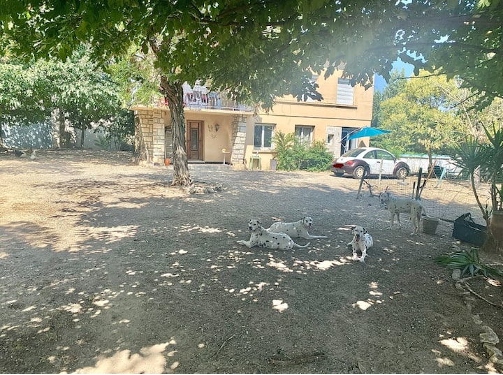 Villa Aux Dalmatiens De Camargue - Camargue